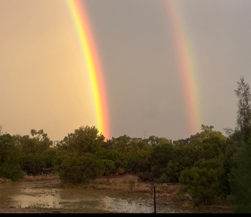 Shall it Quasi Entail? – The Poetic Life 2.0